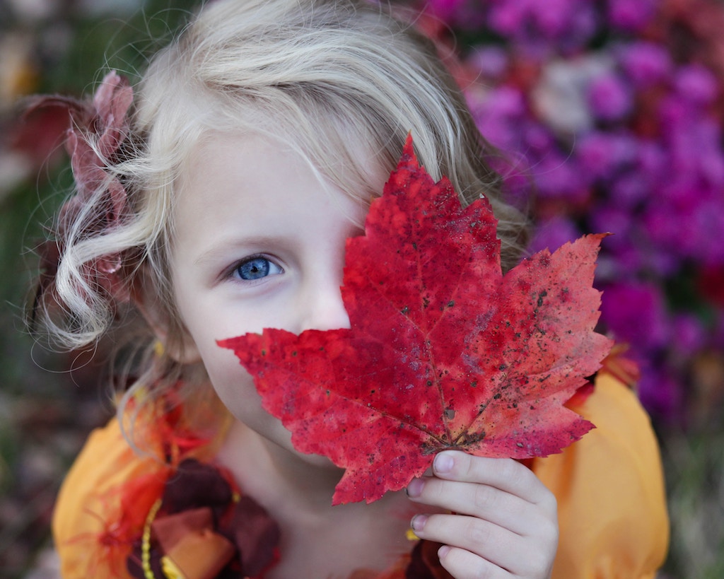 Fall Eye Care Tips | Resource Center | Milan Eye Center